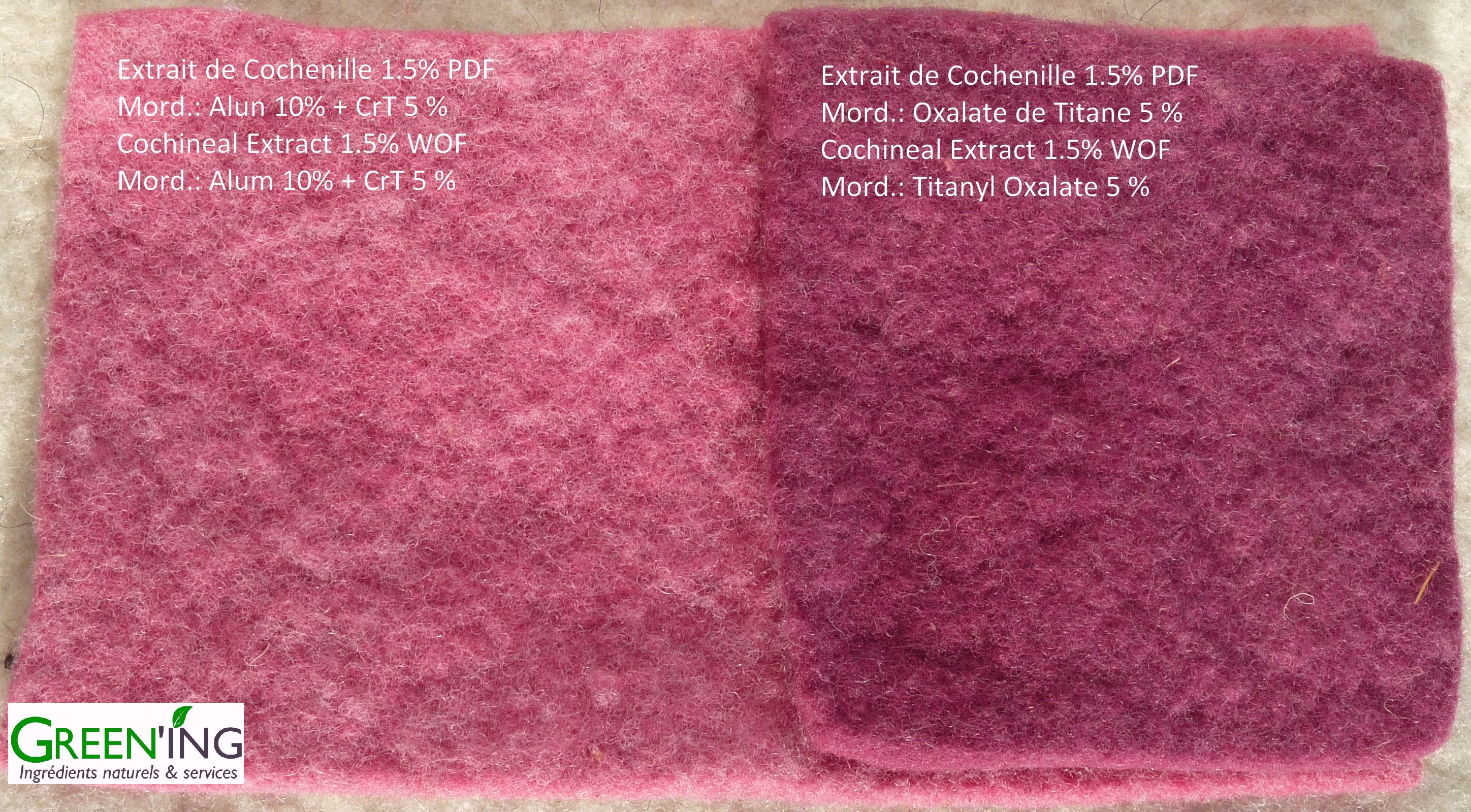 Cochineal extract - natural dye